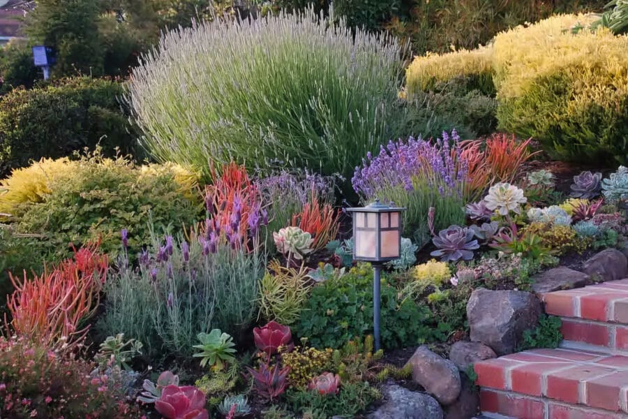 How to Choose Plants for Your Yard - Fire Safe Marin