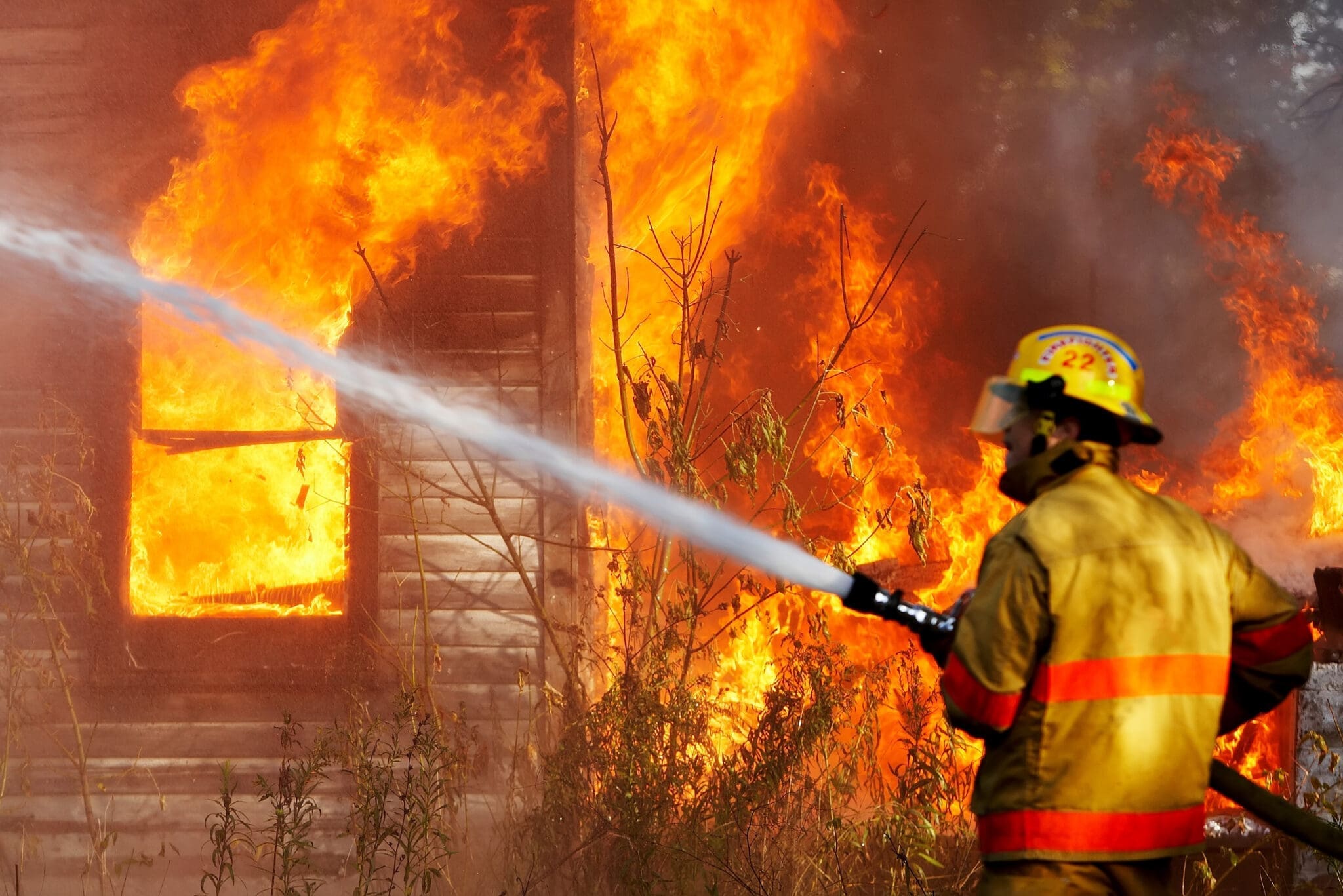Fire-Hazardous Plants - Fire Safe Marin