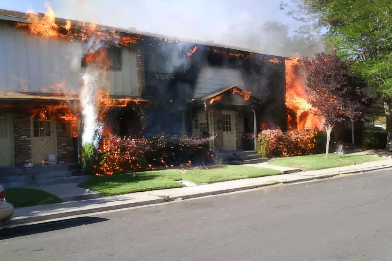 How to Choose Plants for Your Yard - Fire Safe Marin